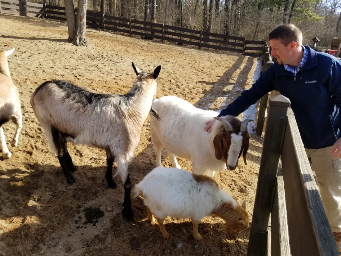 New at the Good Zoo: Upgrading, New Exhibits Planned | News, Sports ...